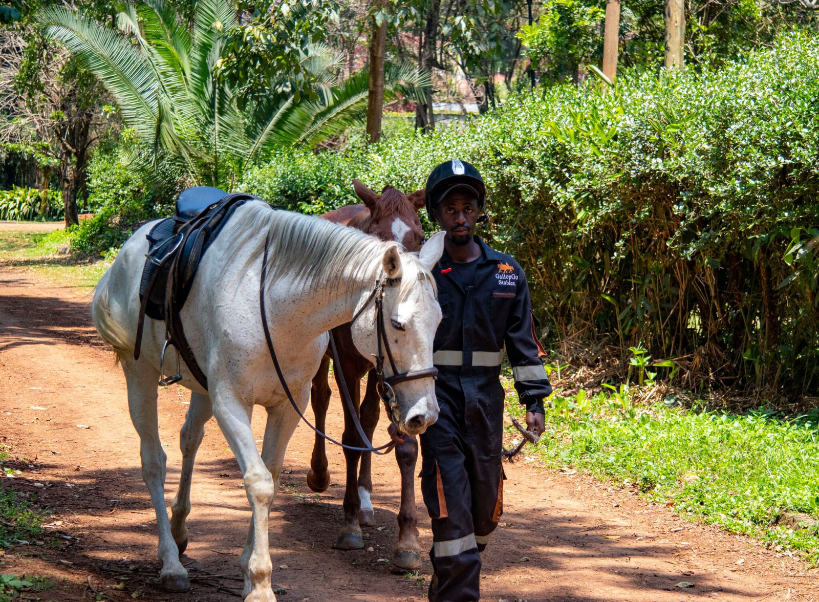 Horse Riding Lessons - Gallop Go Stables & Riding School