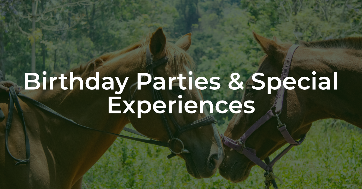 Birthday Parties & Special Experiences - Gallop Go Stables & Riding School