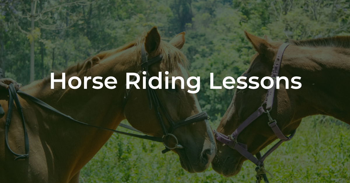 Horse Riding Lessons - Gallop Go Stables & Riding School