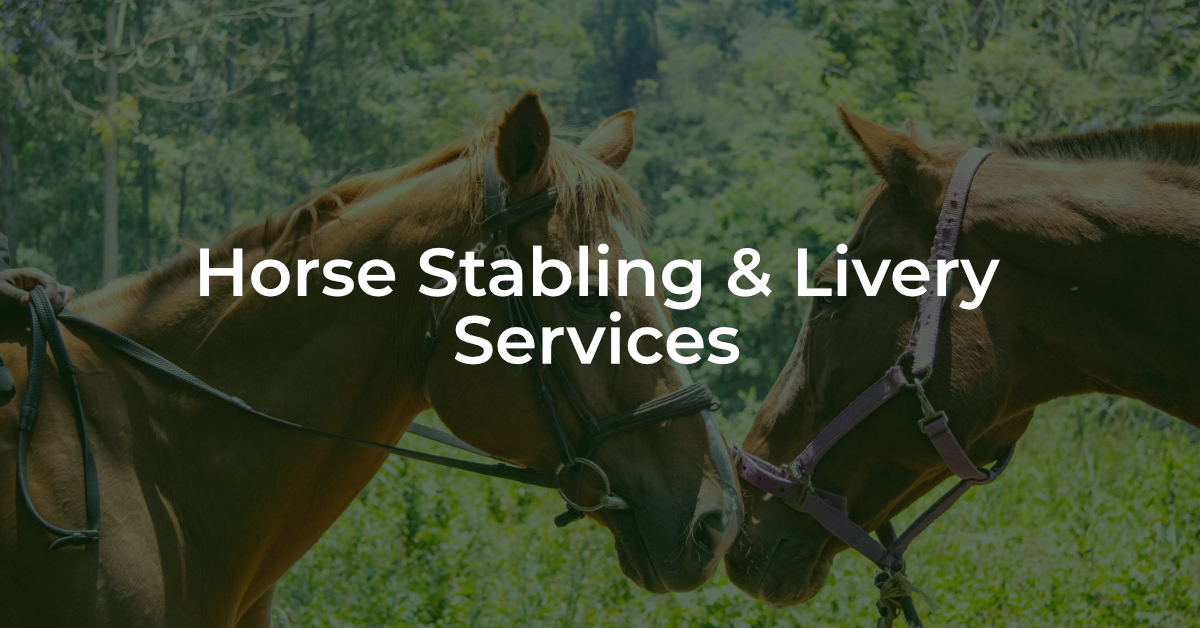 Horse Stabling & Livery Services - Gallop Go Stables & Riding School