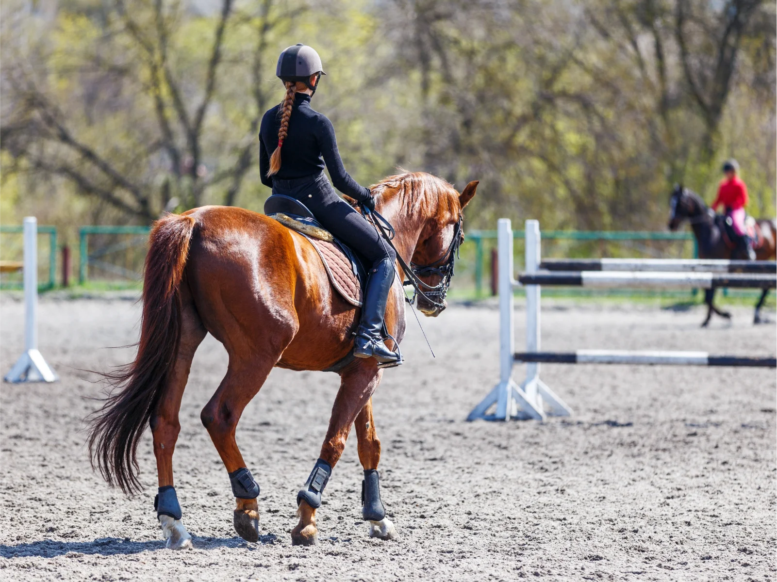 Horse Riding in Nairobi & Kenya | GallopGo Stables